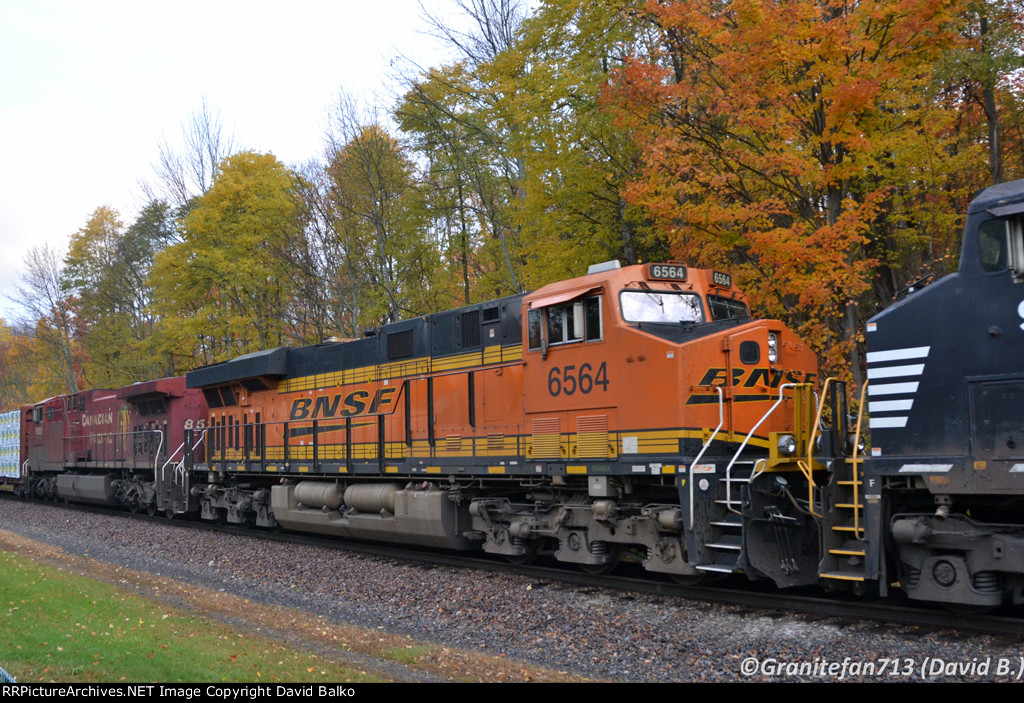 BNSF 6564